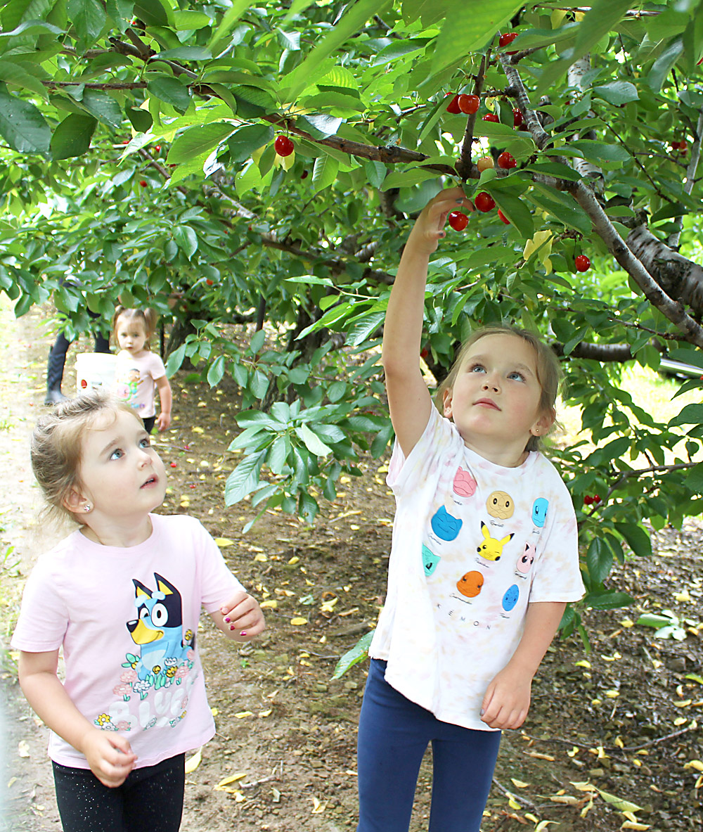 06/17/25 Mirror photo by Holy Claycomb / | News, Sports, Jobs - Altoona Mirror